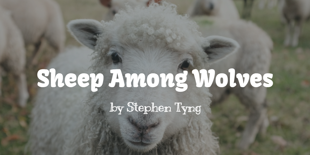 Sheep Among Wolves, by Stephen Tyng – Jawbone Digital